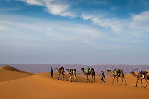 Algeria Travel Guide - Algeria.com